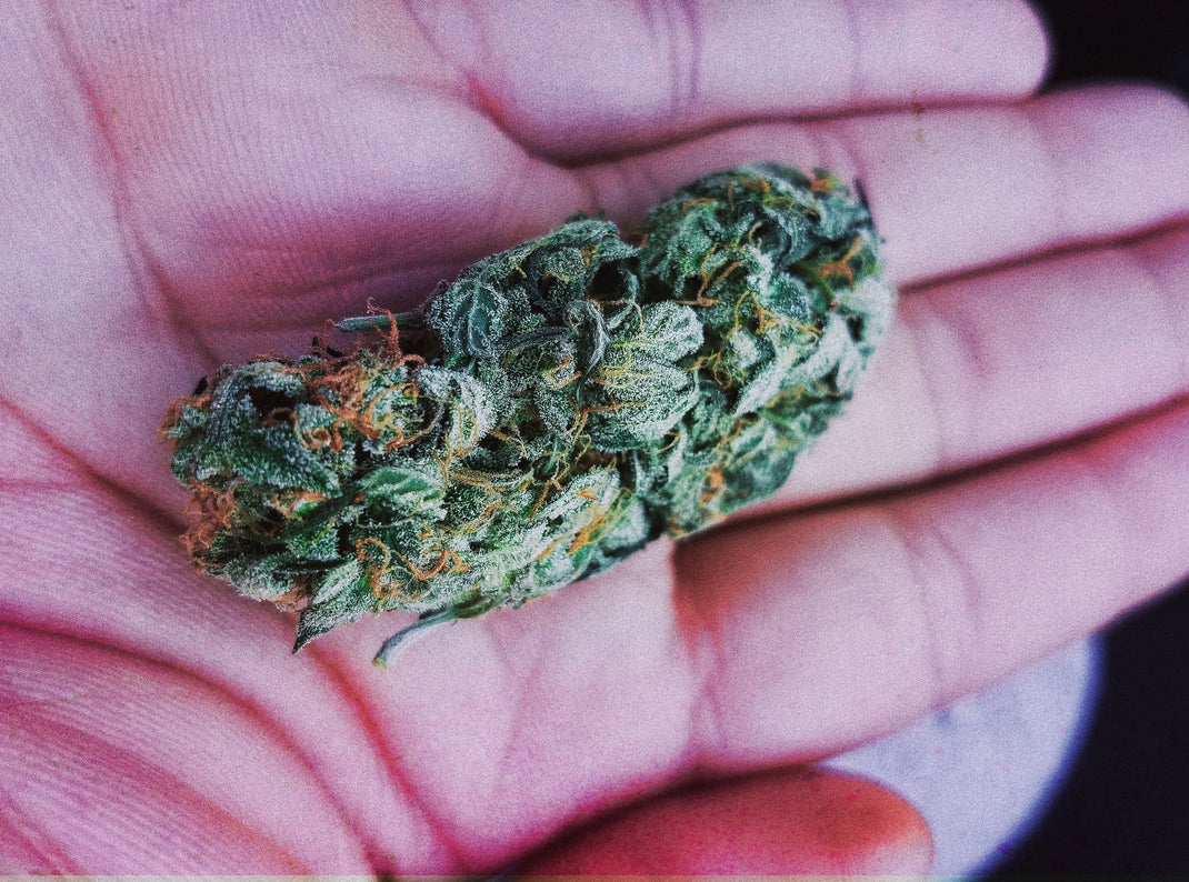 Marry Jane EU